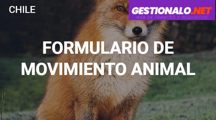 Formulario de Movimiento Animal en Chile